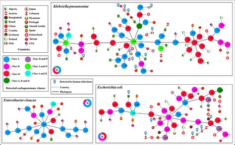 Multilocus Sequence Typing MLST Data Set Generated Using PHYLOViZ