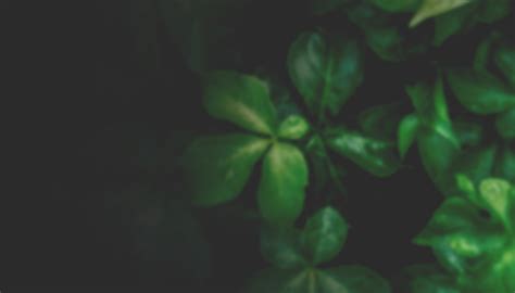 Gis Mapping Software Location Intelligence And Spatial Analytics Esri