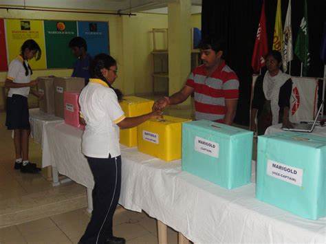 Class IX Orchids June