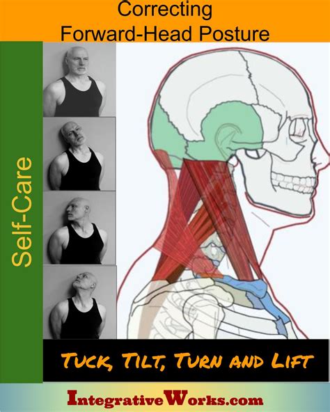 Chin Tuck Muscles