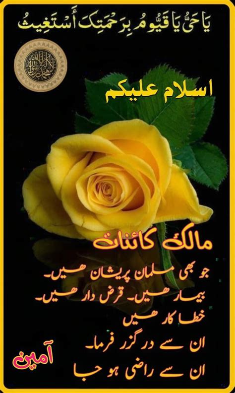 Arabic Good Morning Quotes With Yellow Rose