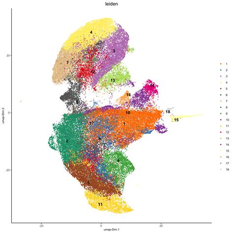 mouse codex spleen — giotto 1 0 documentation