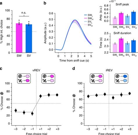 Identity Prediction Errors In The Human Midbrain Update Reward Identity Expectations In The