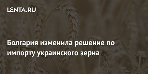 Болгария изменила решение по импорту украинского зерна Политика Мир