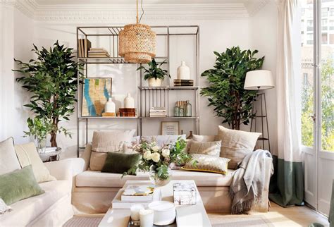 Qué Plantas De Luz Son Ideales Para Decorar Tu Casa Habitación