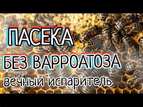 ИСПАРИТЕЛЬ ДЛЯ ЩАВЕЛЕВОЙ КИСЛОТЫ, ТЕМПЕРАТУРА ИСПАРЕНИЯ И ПРЕВРАЩЕНИЯ ...