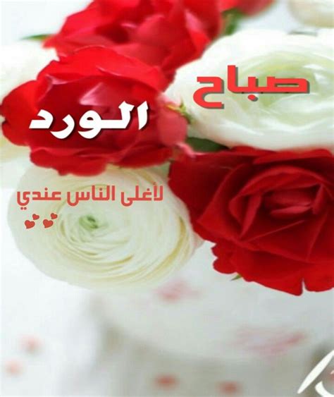 صباح الورد