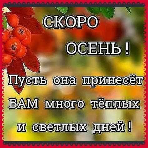 Пин от пользователя Валентина Бутенко на доске лето Веселые картинки