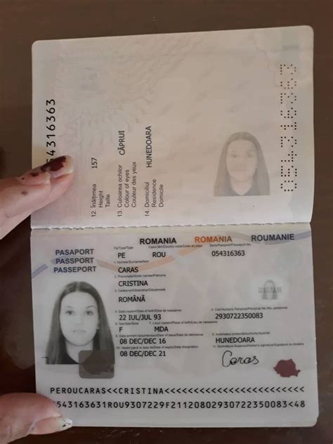 Singapore Biometric Passport Application Form Printable Form 2024