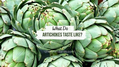 What Do Artichokes Taste Like Do They Really Taste Good