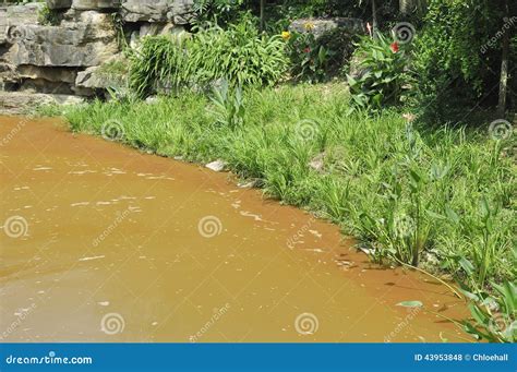 Dirty Polluted River Stock Photo Image Of Riverside