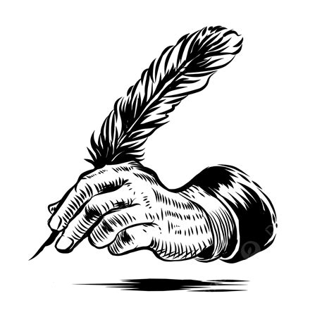 Escritura De Arte Lineal Con Pluma De Pluma Png Arte Lineal Escribe