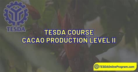 Tesda Cacao Production Level Ii Course Tesda Online Program