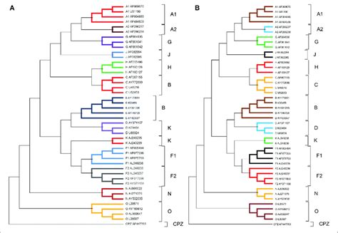 A The Phylogenetic Tree Of 44 Hiv 1 Genomes Reconstructed By