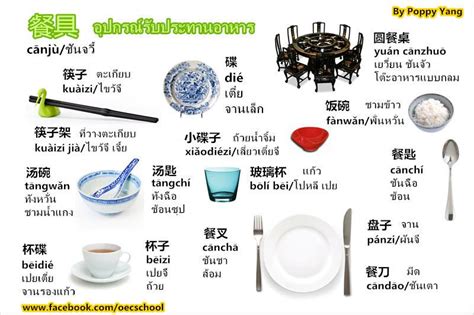 餐具 Cānjù ชันจวี้ อุปกรณ์ทานอาหาร ติดตามอัพเดทได้ทุกวันที่ Poppyyang