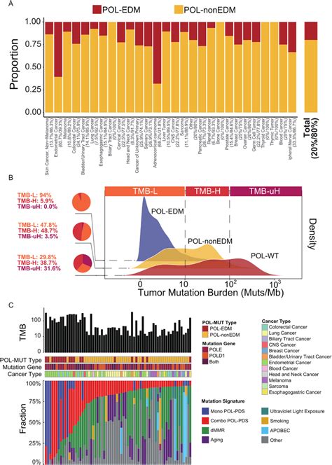 Prevalence And Predicted Functional Impact Of POLEDM And POLnonEDM