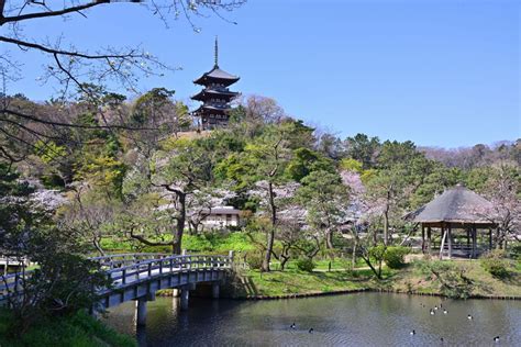 春の横浜三渓園その1 GANREF