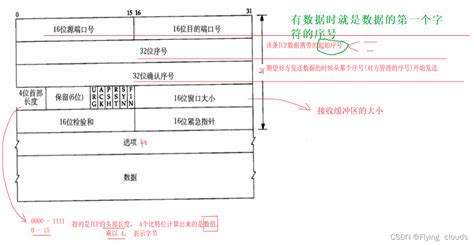 Tcp的协议格式 20字节固定长度 40字节可选数据tcp20字节都有‘ Csdn博客