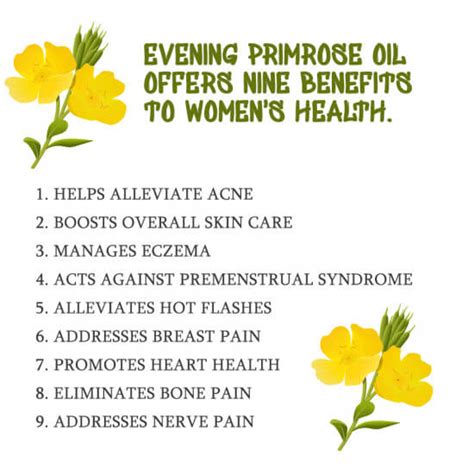 Borage Oil Vs Evening Primrose Oil The Ultimate Showdown
