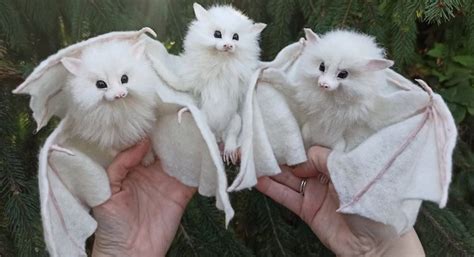 Honduran White Bat Wings