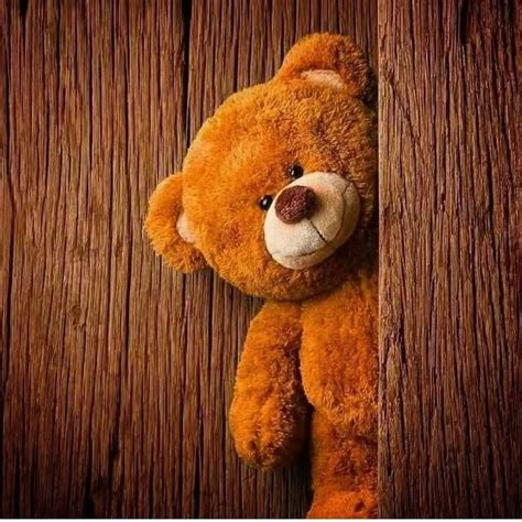 🅿🅰🆂🅲🅰🅻 I Am Pascal • Threads Say More