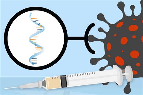 Why Rna Vaccines For Covid 19 Raced To The Front Of The Pack