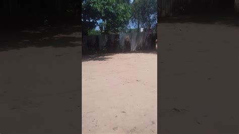 Pppppa Youtube Pppppa Youtube