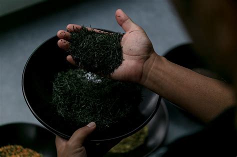 Sencha House Premium Green Tea