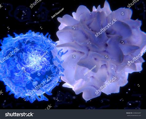 Interaction Between Dendritic Cell T Lymphocyte 3d Renderingdendritic