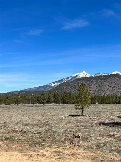 Aisha Overholt On Linkedin Took A Day Trip To Flagstaff To Decompress