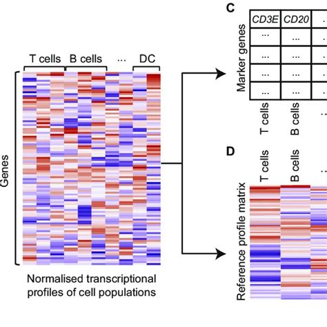 Computational Framework To Derive Reference Signatures A Gene