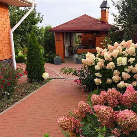 Метельчатые гортензии в ландшафтном дизайне фото и картинки 72 штук