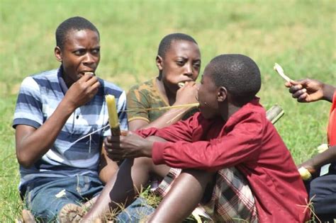 I Grew Up In A Refugee Camp People Like Me Deserve A Voice In The Un