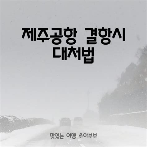 제주공항 결항시 대처법 제주 폭설 제주공항 비행기 결항 호텔 렌트카 네이버 블로그