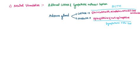 Solved Select All That Apply Which Of The Following Are Involved In