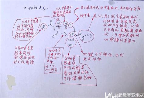 β 内酰胺类青霉素与头孢菌素的结构介绍与其改造 哔哩哔哩