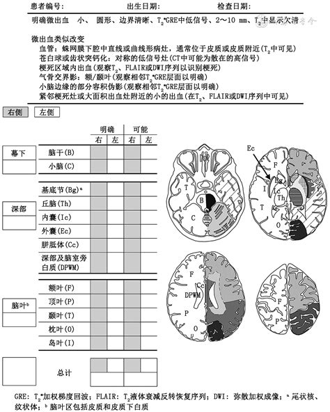 中国脑小血管病诊治指南2020 脑医汇 神外资讯 神介资讯