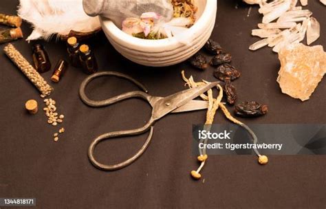 테이블은 마법의 버섯에 초점을 설정합니다 Psilocybin 환각 버섯 마이크로 도징 여행 개념 사이키델릭 의약품은 분쇄기의