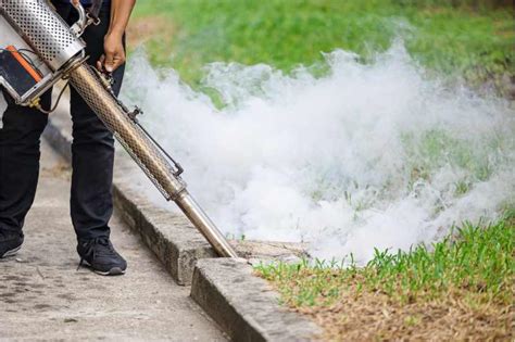 Mosquito Fogging Rules At Dennis Marquis Blog