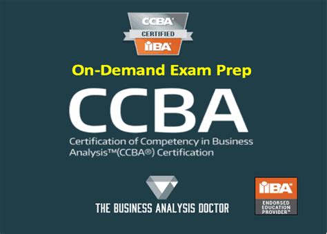 Ccba Sample Exam Questions