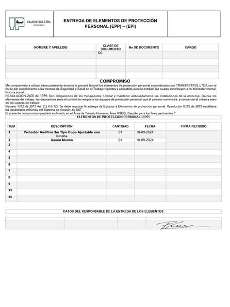 Formato De Entrega De Epp Pdf