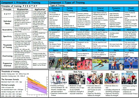 Gcse Pe Edexcel 9 1 Muscular System Knowledge Organis