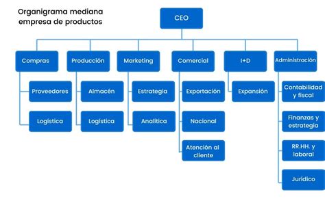 Organigrama De Empresa Con Ejemplos Reales Asesorías