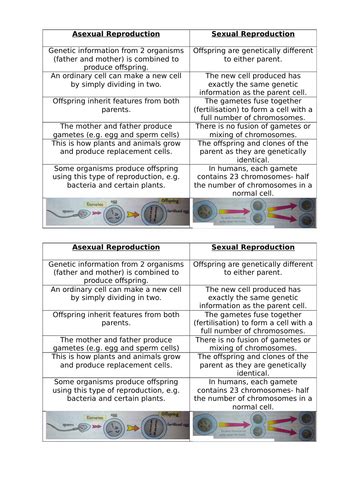 New Gcse Aqa Sexual And Asexual Reproduction Teaching Resources