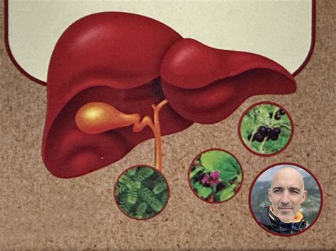 Как може да се изчисти омазнен черен дроб Аз мога