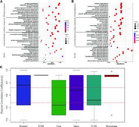 Dna Hydroxymethylation And Dna Methylation Of Res And Expression Of
