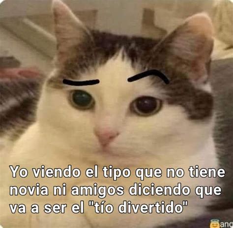 Veo Que Las Personas Que No Quieren Tener Hijos Se Quieren Volver El
