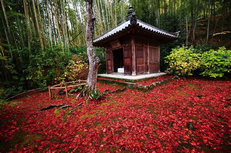 Kyoto Moyou