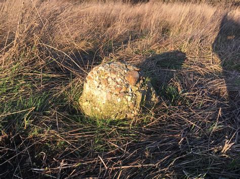 Wanstead Flats Archives The Lost Byway
