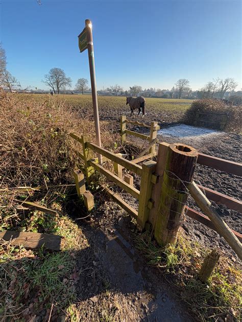 Inner London Ramblers London Loop Section 14 Lots Of Mud And Path